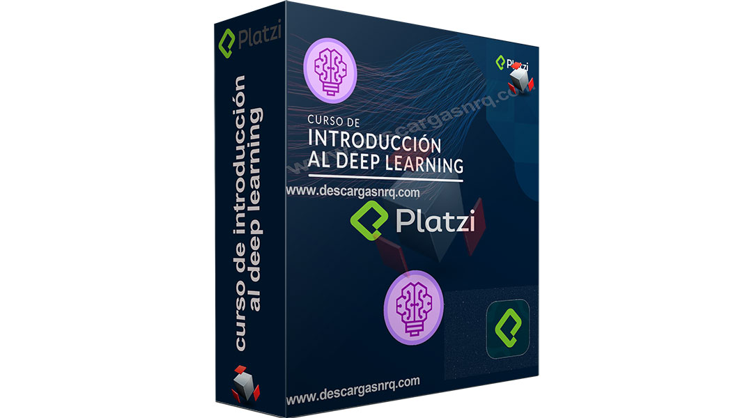 Curso de Introducción al Deep Learning [MEGA] - niroqui